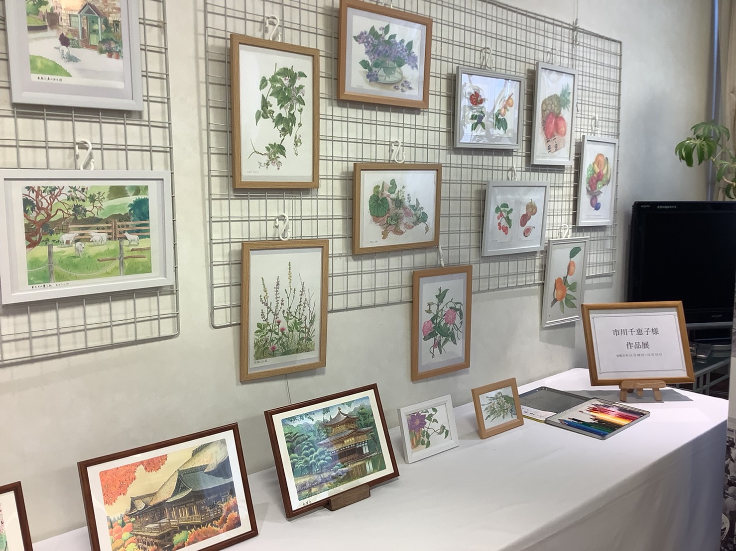 市川千恵子様の塗り絵の作品展【あいゆうの森】 - 春日井市 あいゆう